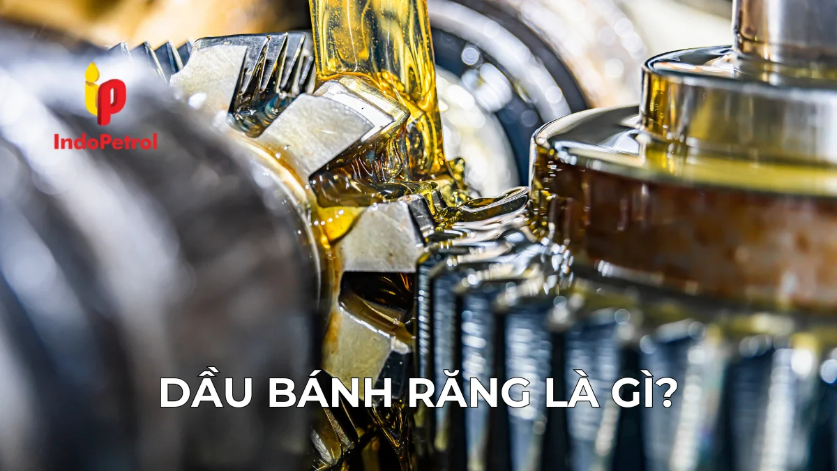 Dầu Bánh Răng Là Gì? Tất Cả Những Điều Bạn Cần Biết