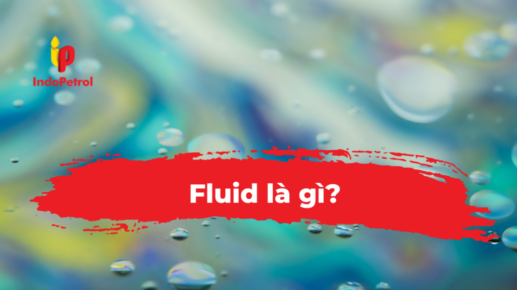 Fluid là gì? Tìm hiểu khái niệm và ứng dụng của Fluid